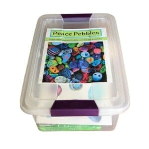 Make Your Own Rock Painting Kit - Living a Heartfull Life